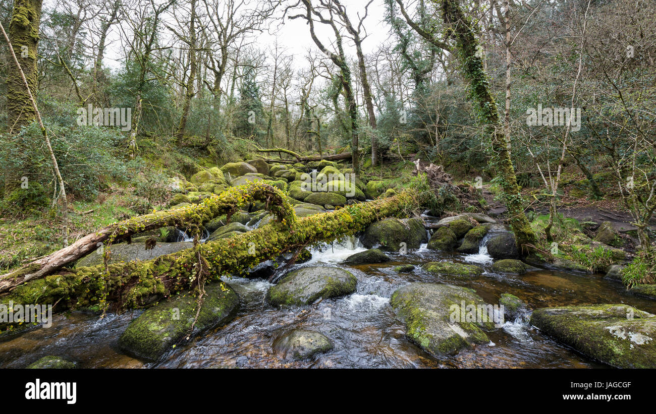 Becky falls dartmoor hi-res stock photography and images - Alamy