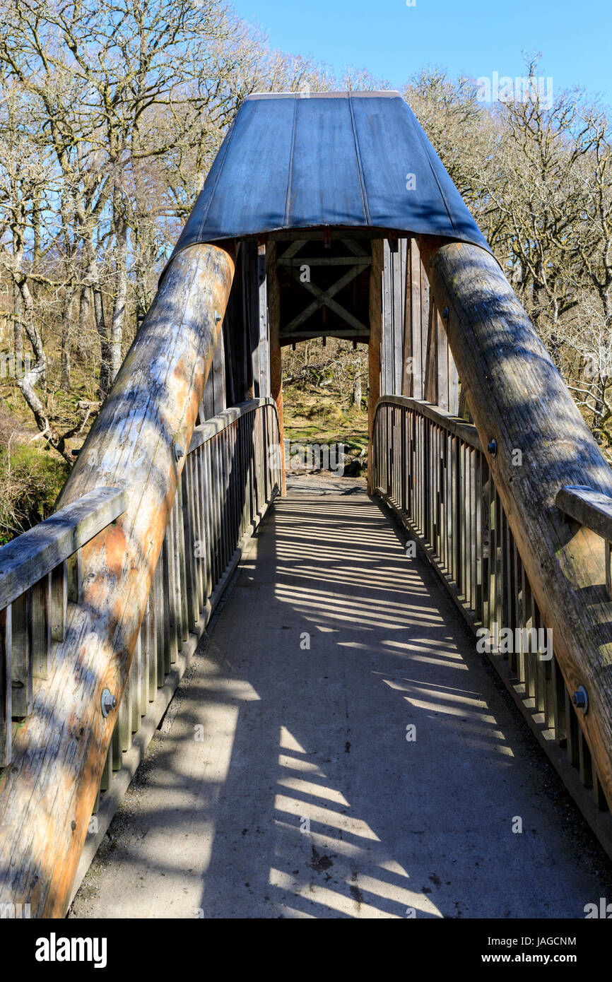 Footbridge at Bracklinn Falls, near Callander, Scotland Stock Photo - Alamy
