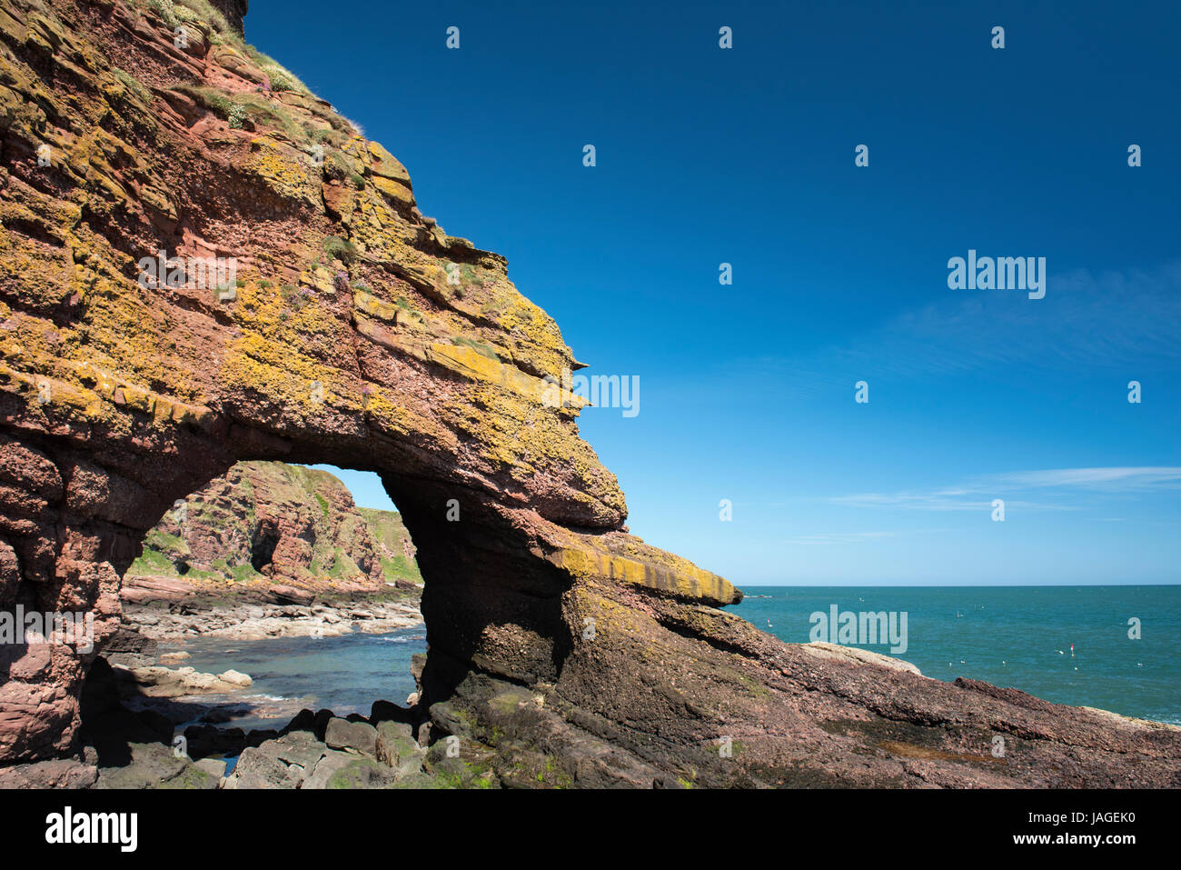 Auchmithie Bay red sandstone cliffs, near Arbroath, Angus, Scotland ...