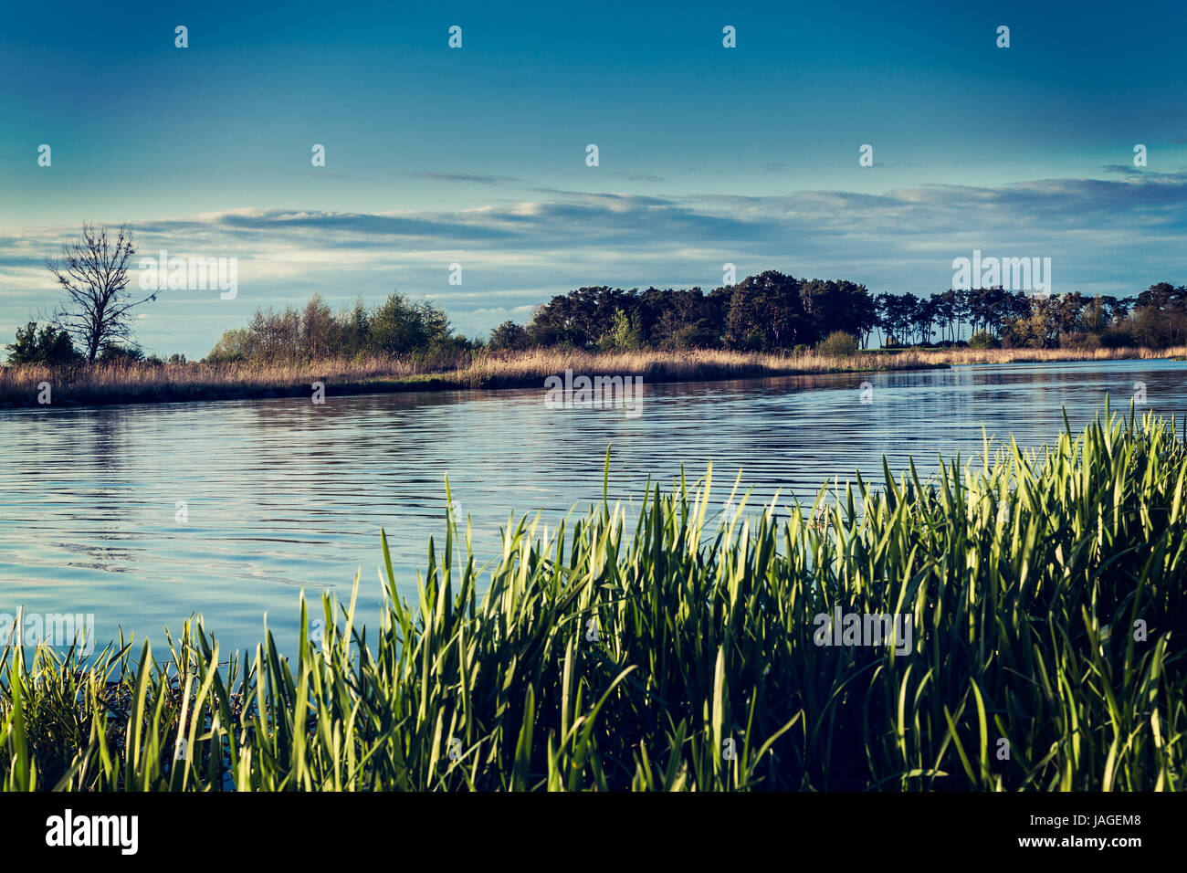 Nogat green hi-res stock photography and images - Alamy