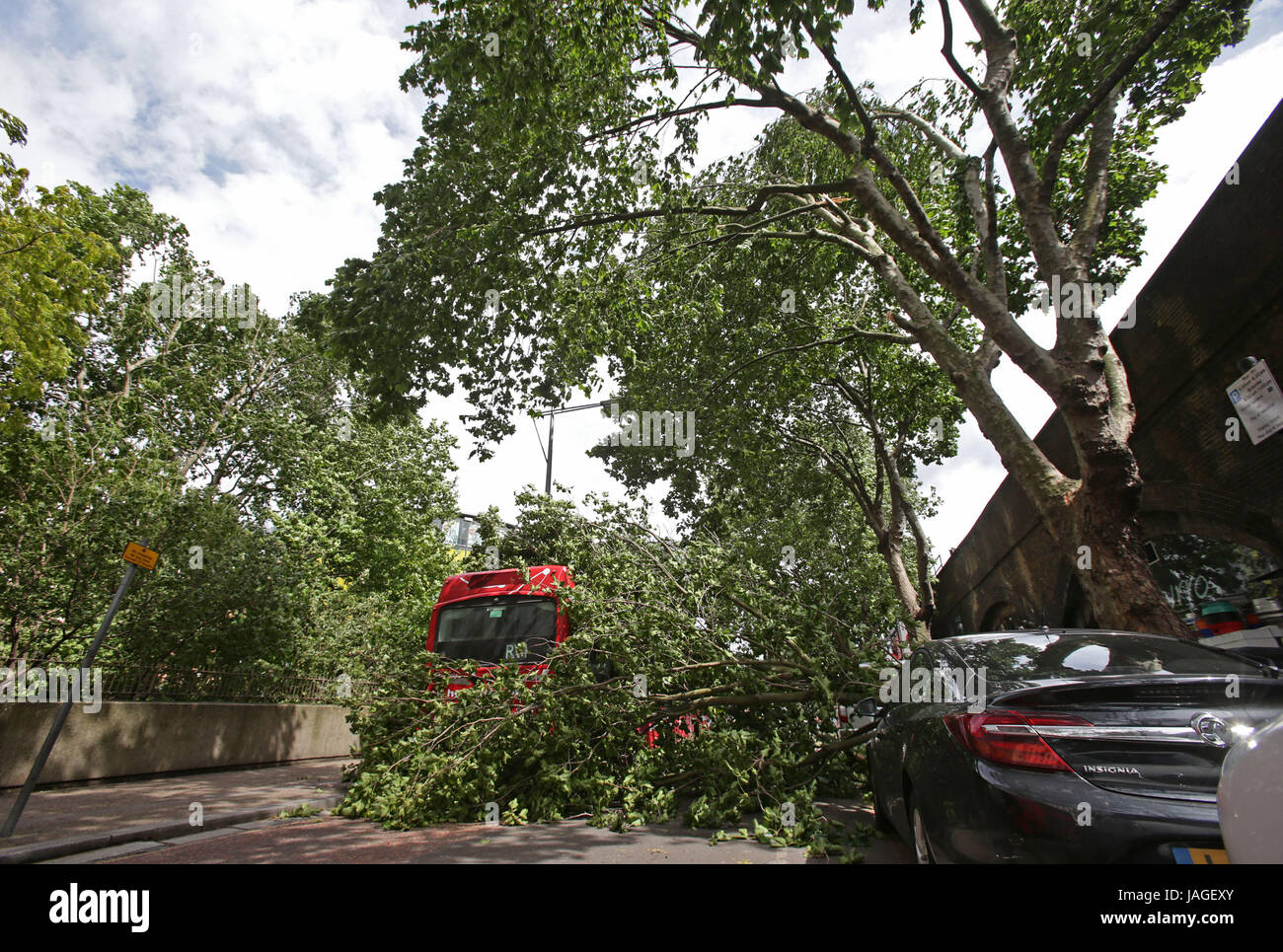 Branches of a tree on a car and bus hi-res stock photography and images ...