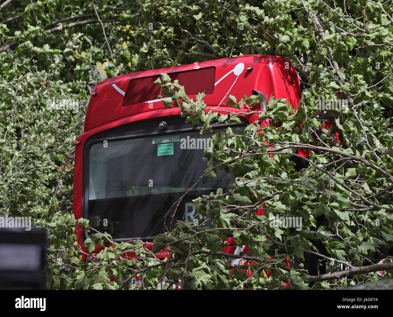 Branches of a tree on a car and bus hi-res stock photography and images ...