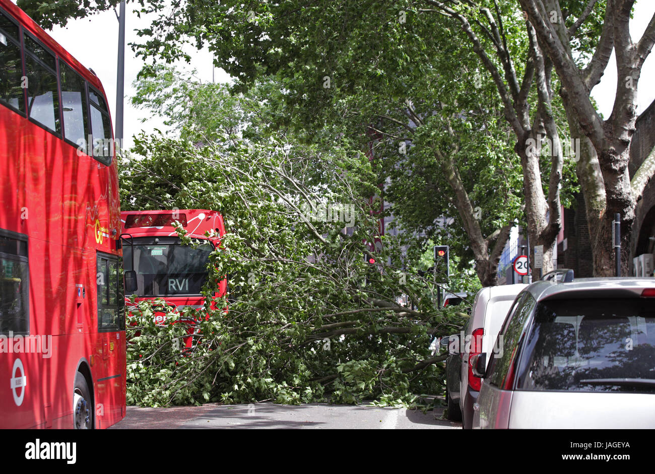 Branches of a tree on a car and bus, in Waterloo, London, following ...