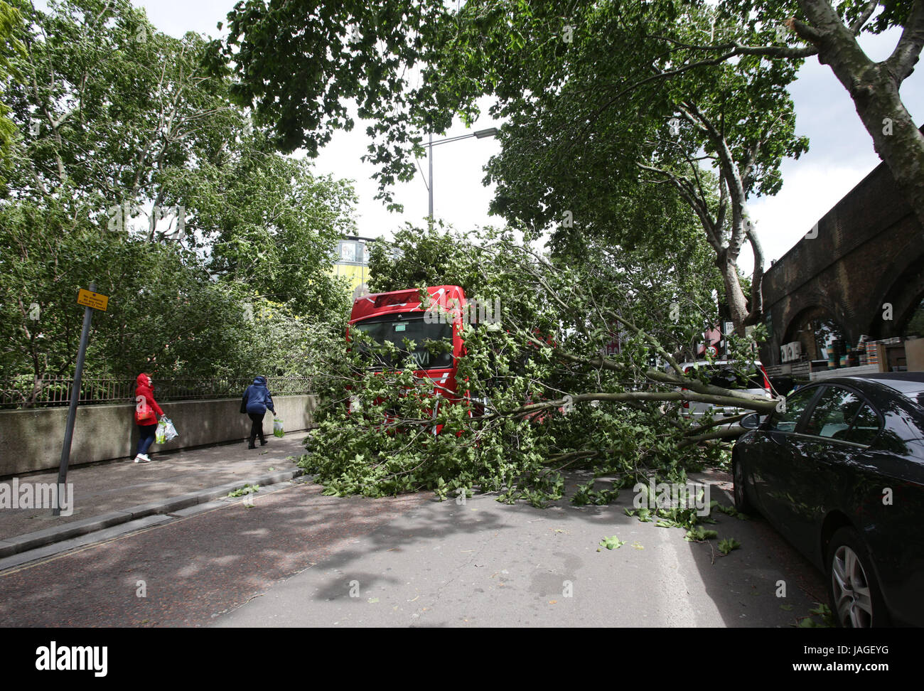 Branches of a tree on a car and bus, in Waterloo, London, following ...