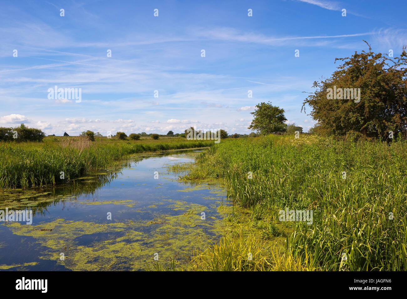 English summer waterway hi-res stock photography and images - Alamy