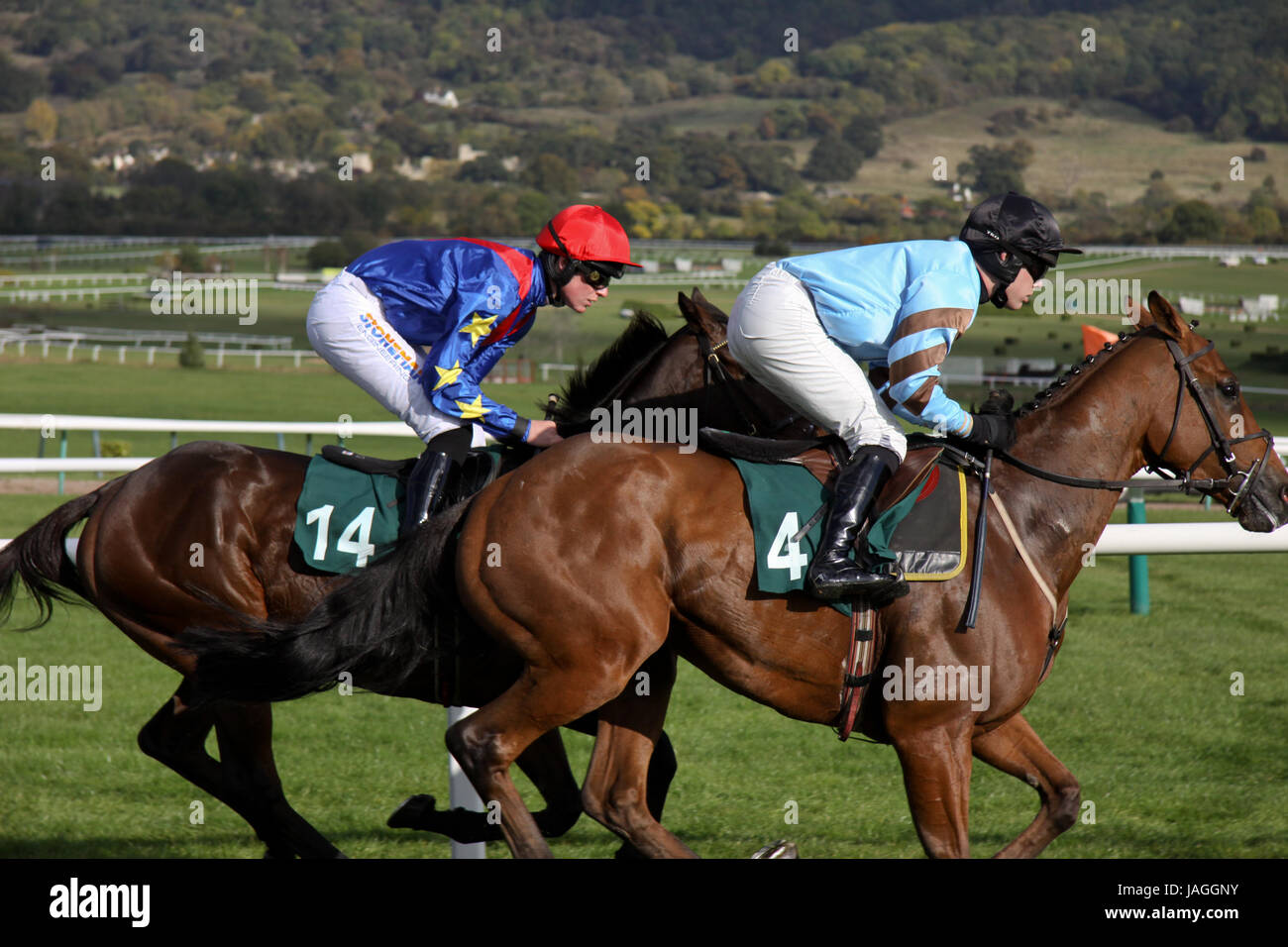 Horseracing cheltenham racecourse hi-res stock photography and images ...