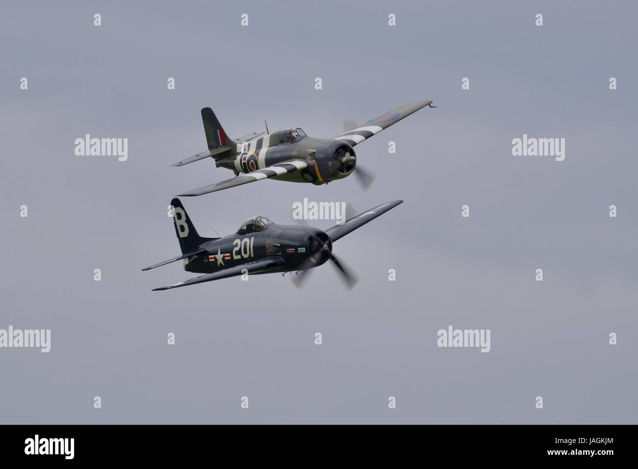 Grumman F4F Wildcat and Bearcat flying in formation Stock Photo - Alamy