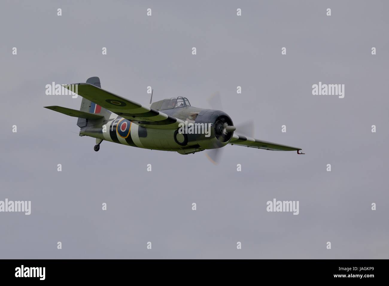 Grumman f4f wildcat hi-res stock photography and images - Alamy