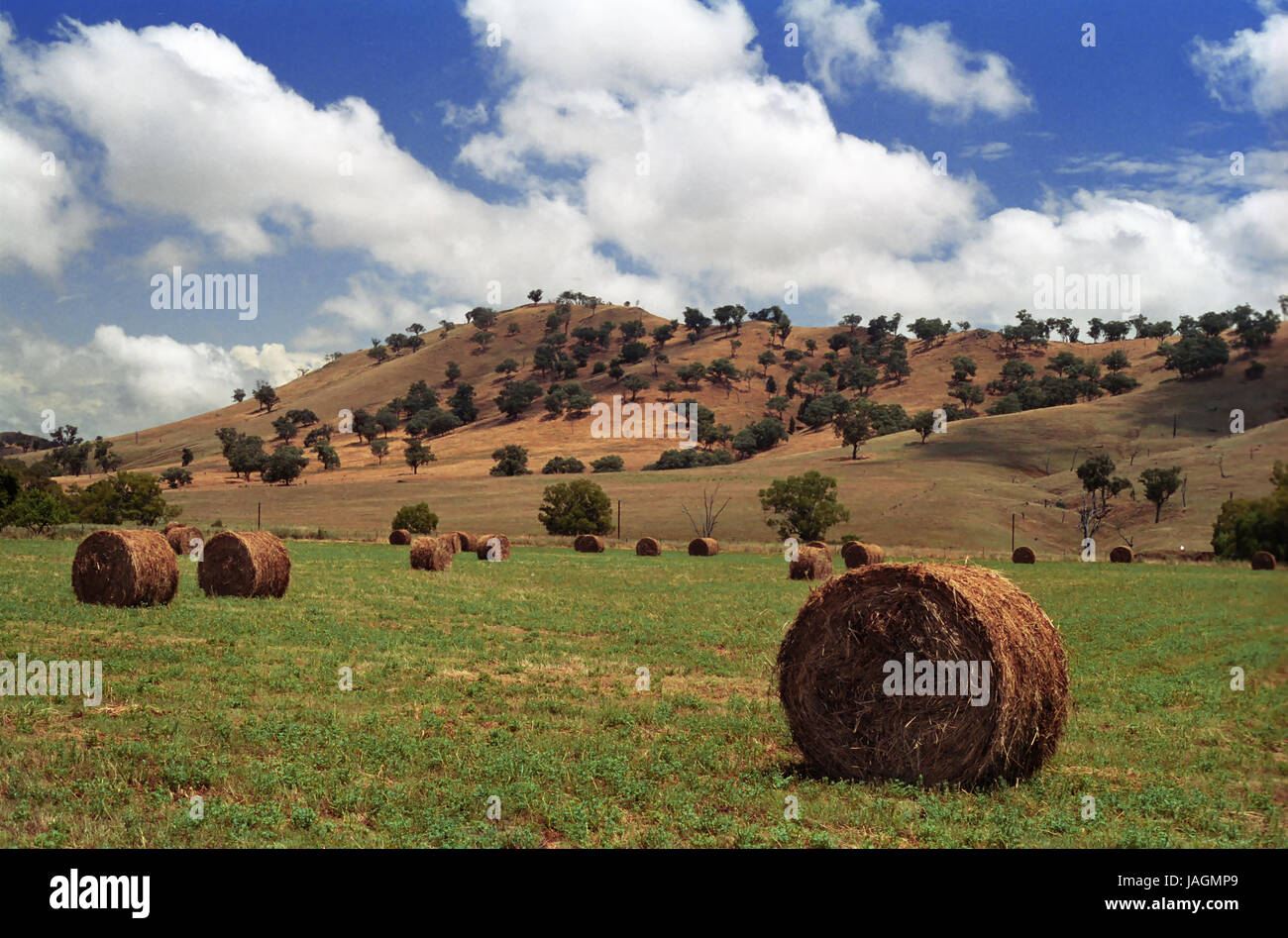 Gum arable hi-res stock photography and images - Alamy