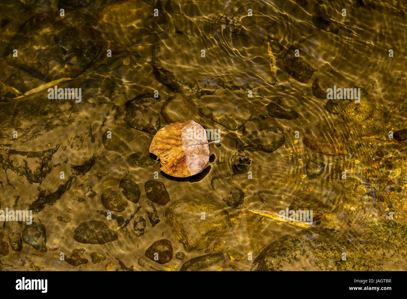 Pebbles river splash hi-res stock photography and images - Alamy