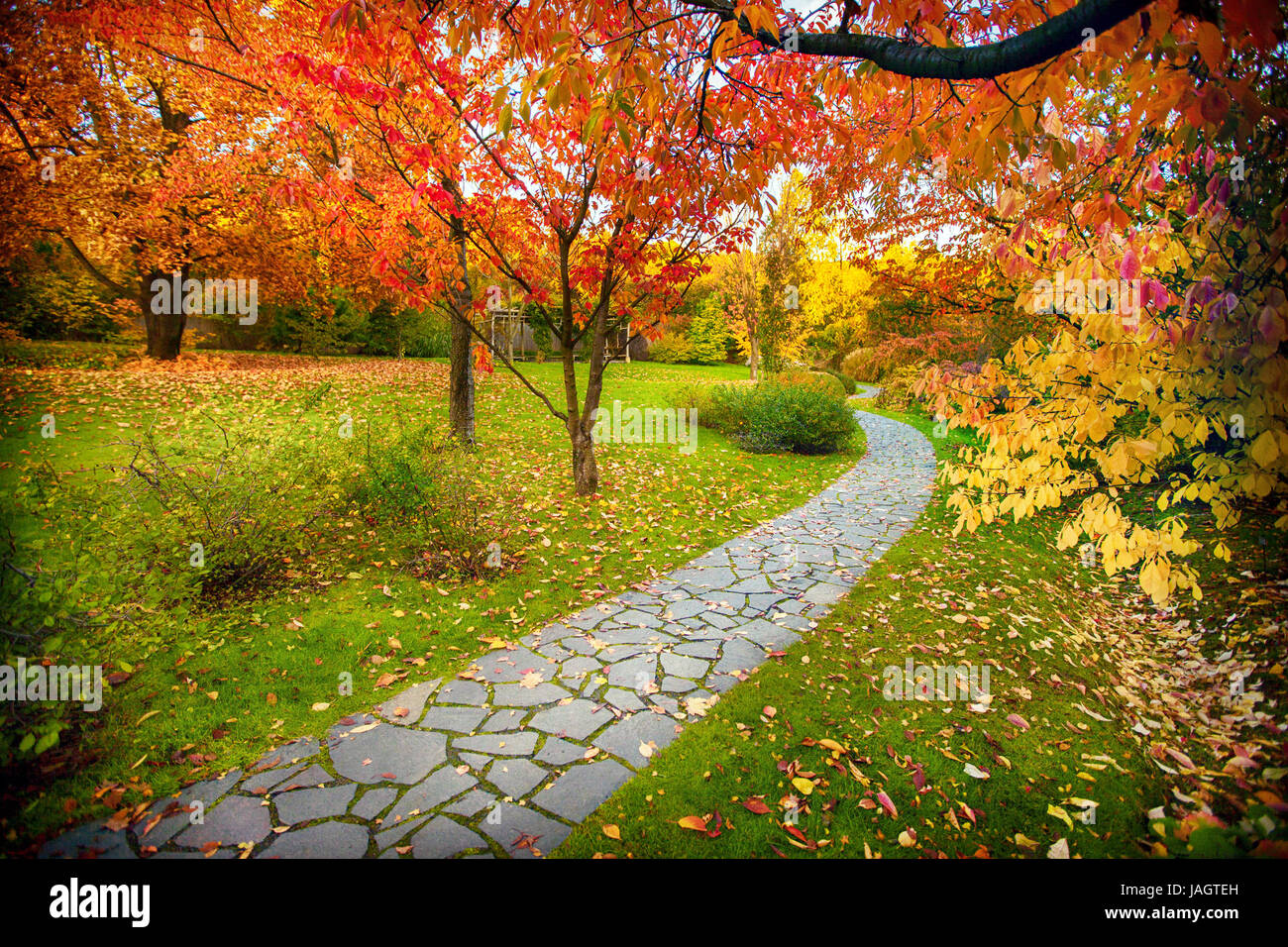 autumn pathway in the park Stock Photo - Alamy