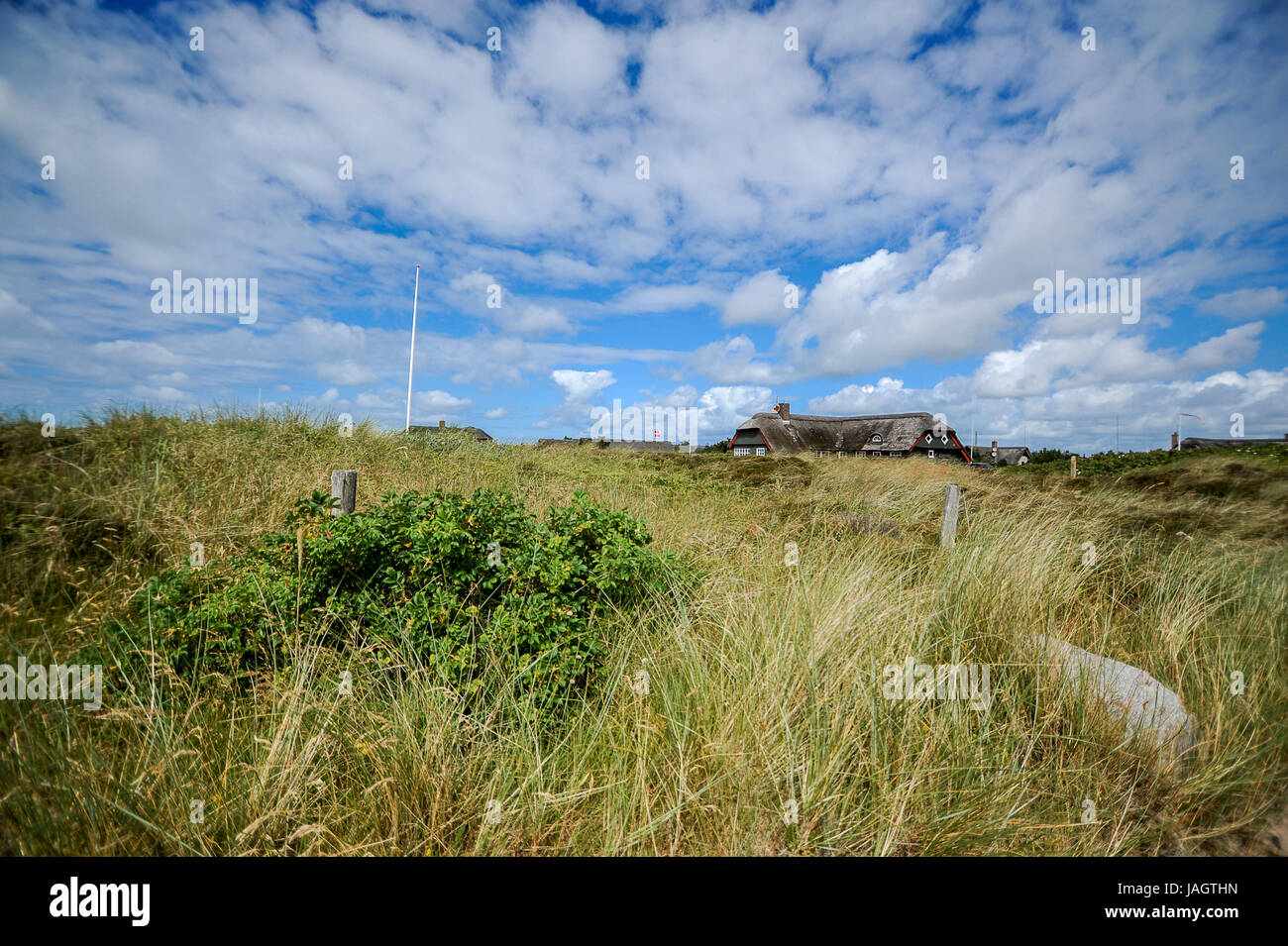 Beautiful landscape of Blavand, Denmark Stock Photo - Alamy