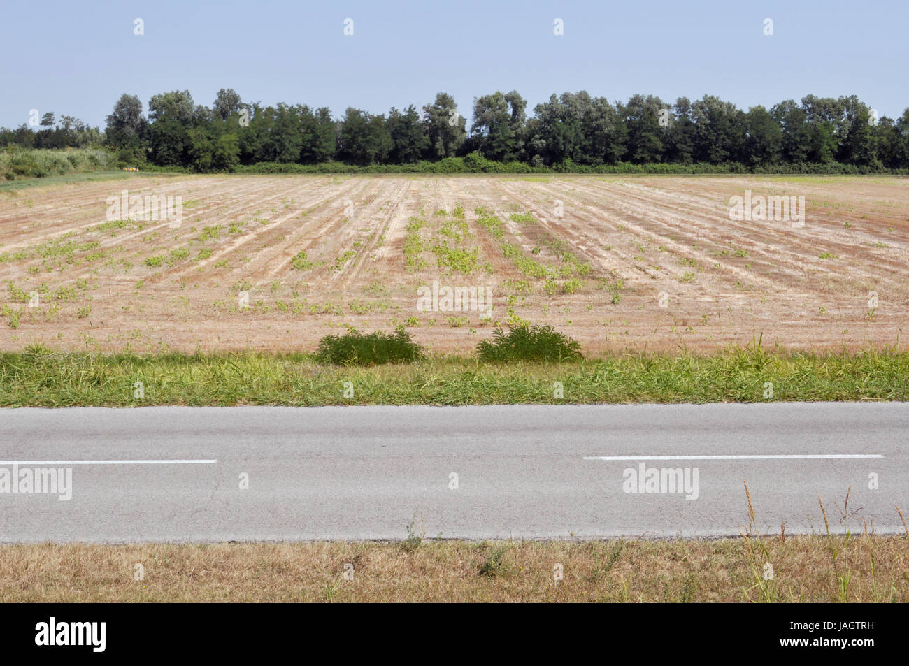 Regional natural park of the po delta hi-res stock photography and ...