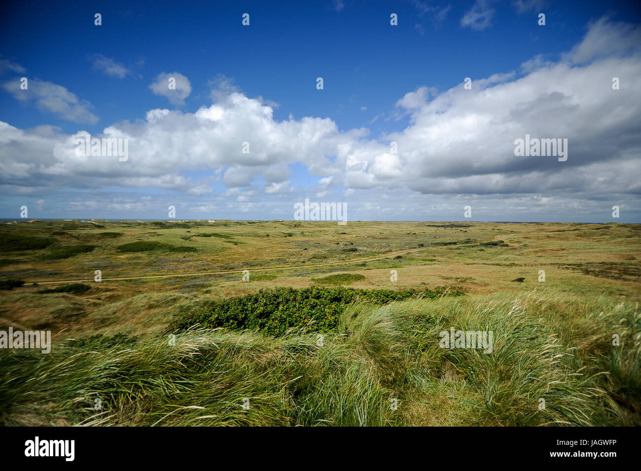 Beautiful denmark landscape hi-res stock photography and images - Alamy