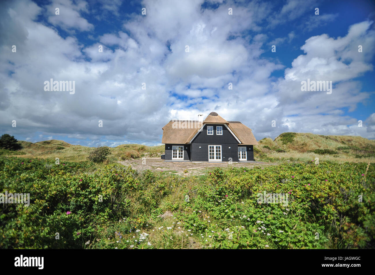 Beautiful landscape of Blavand, Denmark Stock Photo - Alamy