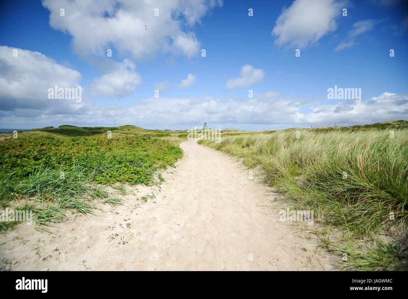 Beautiful landscape of Jutland, Denmark Stock Photo - Alamy