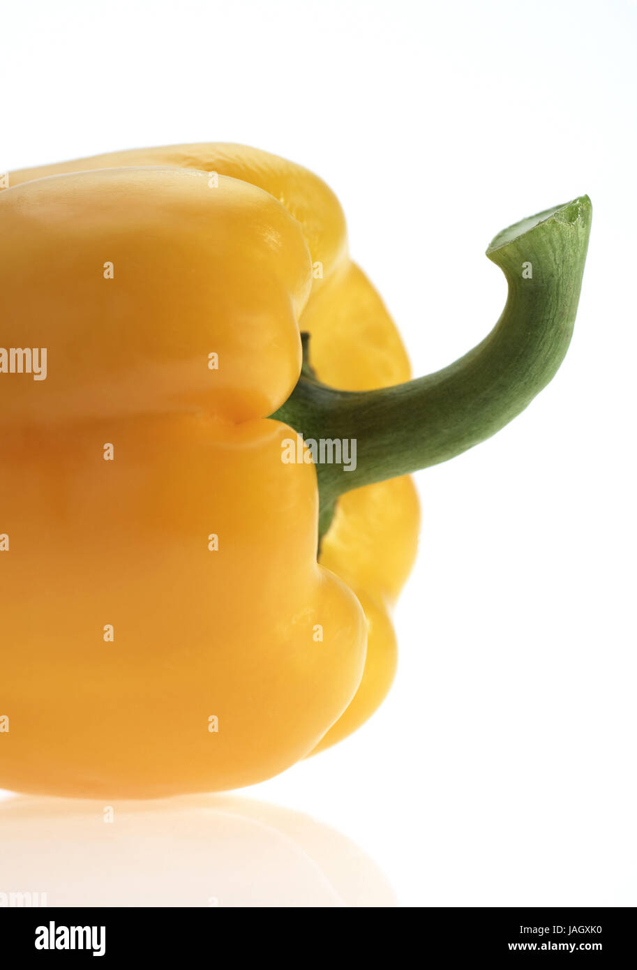 Paprika,Capsicum annuum,yellow pepper,white background Stock Photo - Alamy