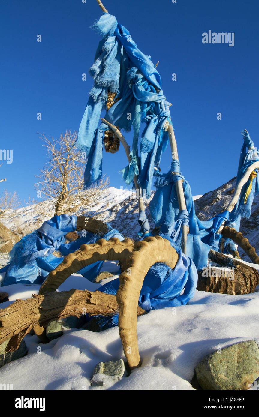 Mongolia,Khovd province,winter scenery,branches,cordons bleu,Khatag ...