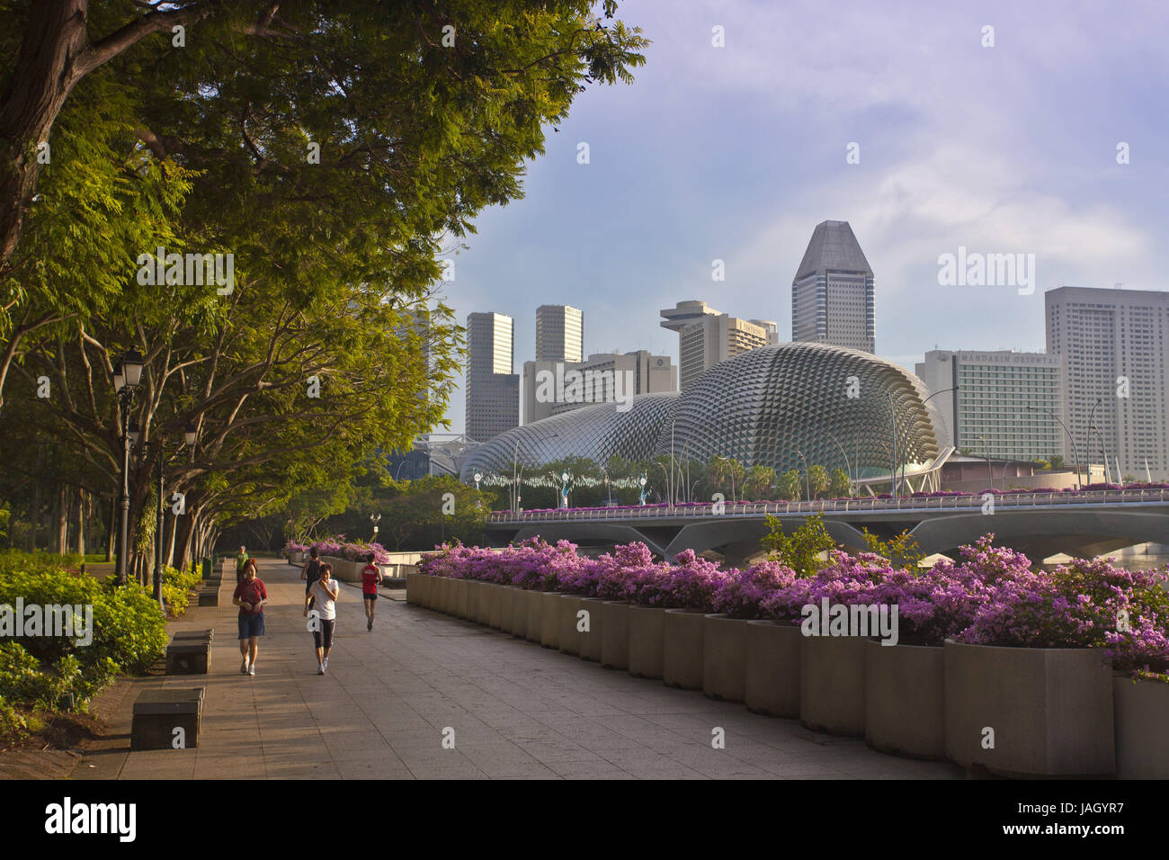 Esplanade singapore hi-res stock photography and images - Alamy