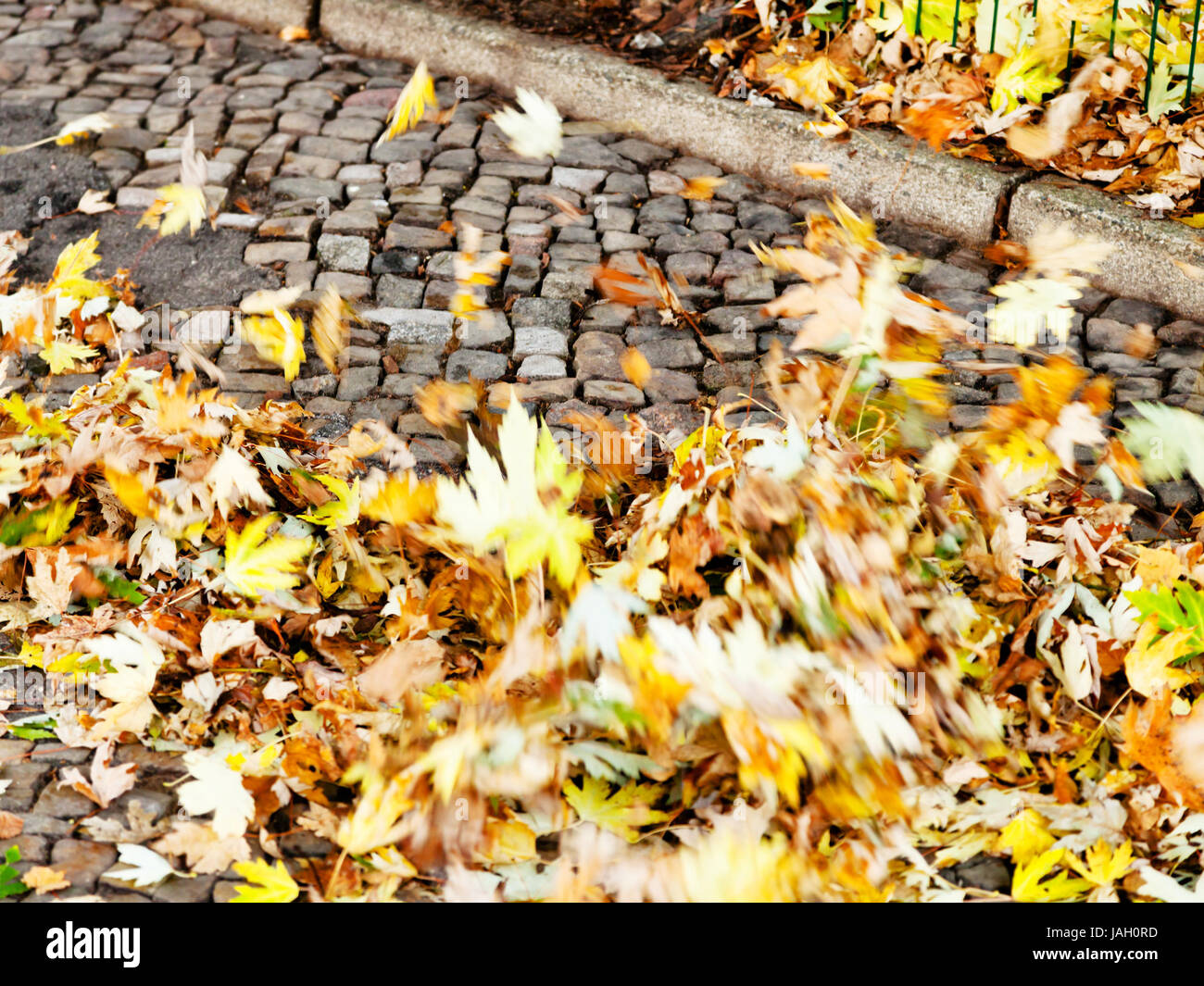 wind clear urban pavement from autumn leaves Stock Photo - Alamy