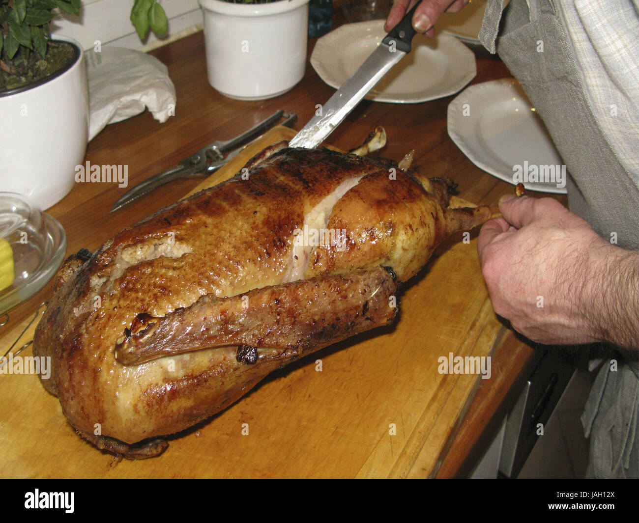 Roasted goose is carved Stock Photo - Alamy
