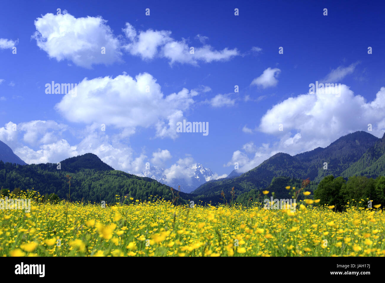 Germany,Bavaria,Upper Bavaria,priest's angle,blue country,Murnauer moss ...