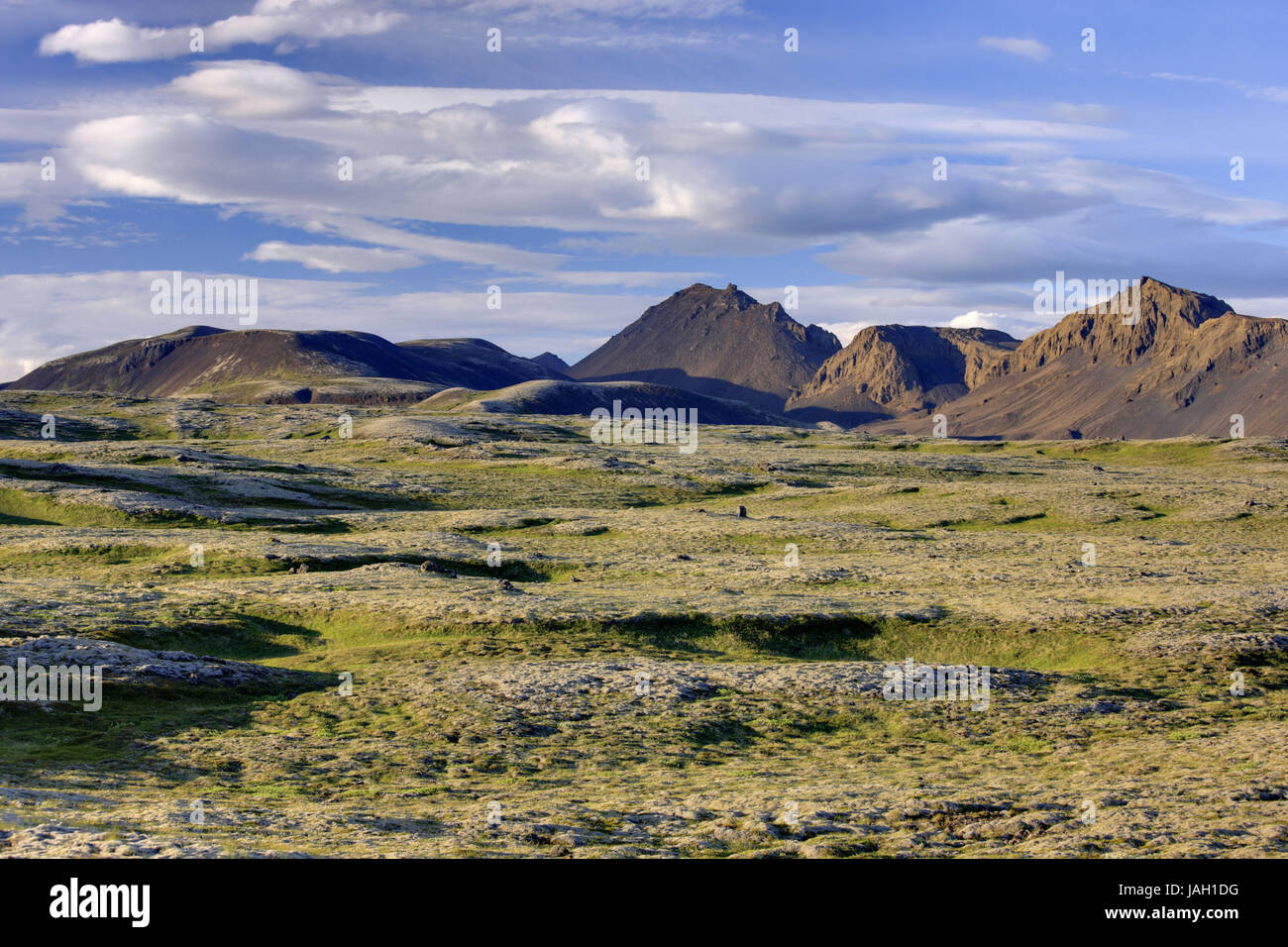 Europe,Northern Europe,Iceland,Südwestisland,Pingvellir national park ...