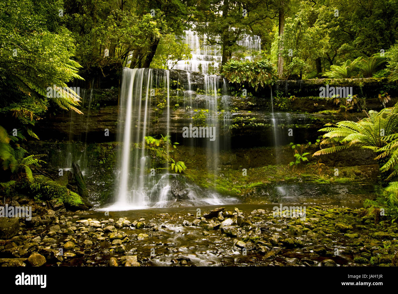 Australia,Tasmania,primeval forest,waterfall,water,Russell Falls,Mount ...
