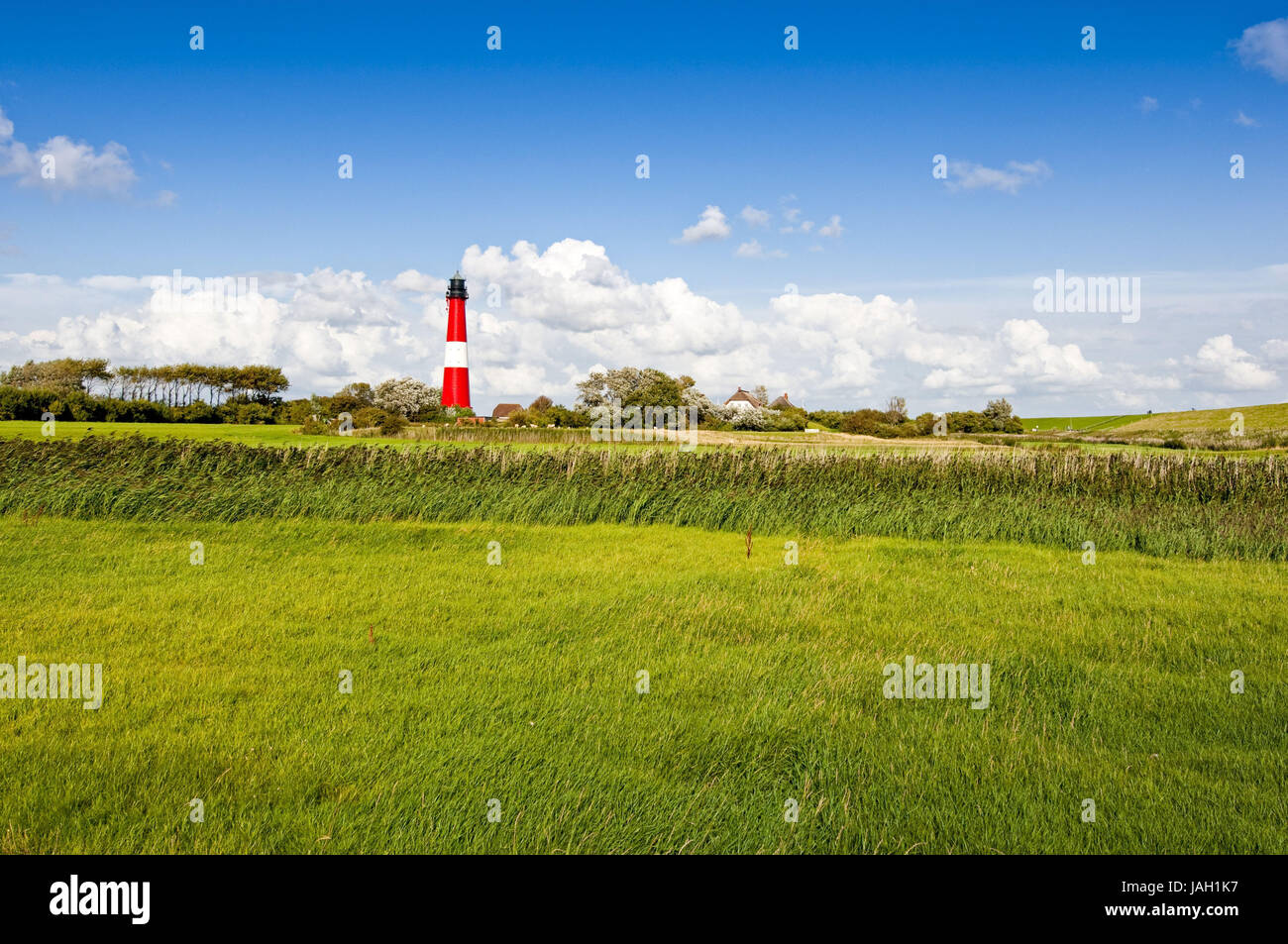 Germany,Schleswig - Holstein,Pellworm,lighthouse,Pellwormer lighthouse ...