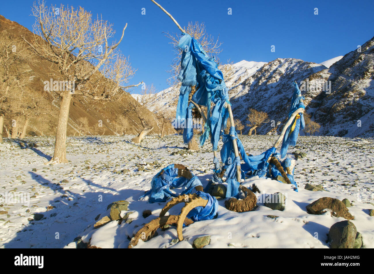 Mongolia,Khovd province,winter scenery,branches,cordons bleu,Khatag ...