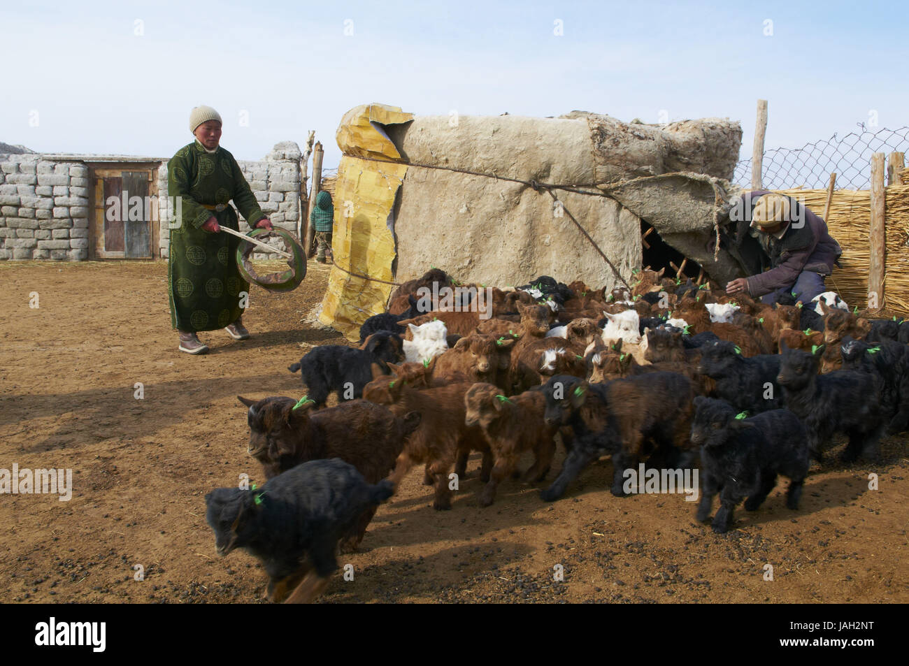 Nomadic shepherds hi-res stock photography and images - Alamy