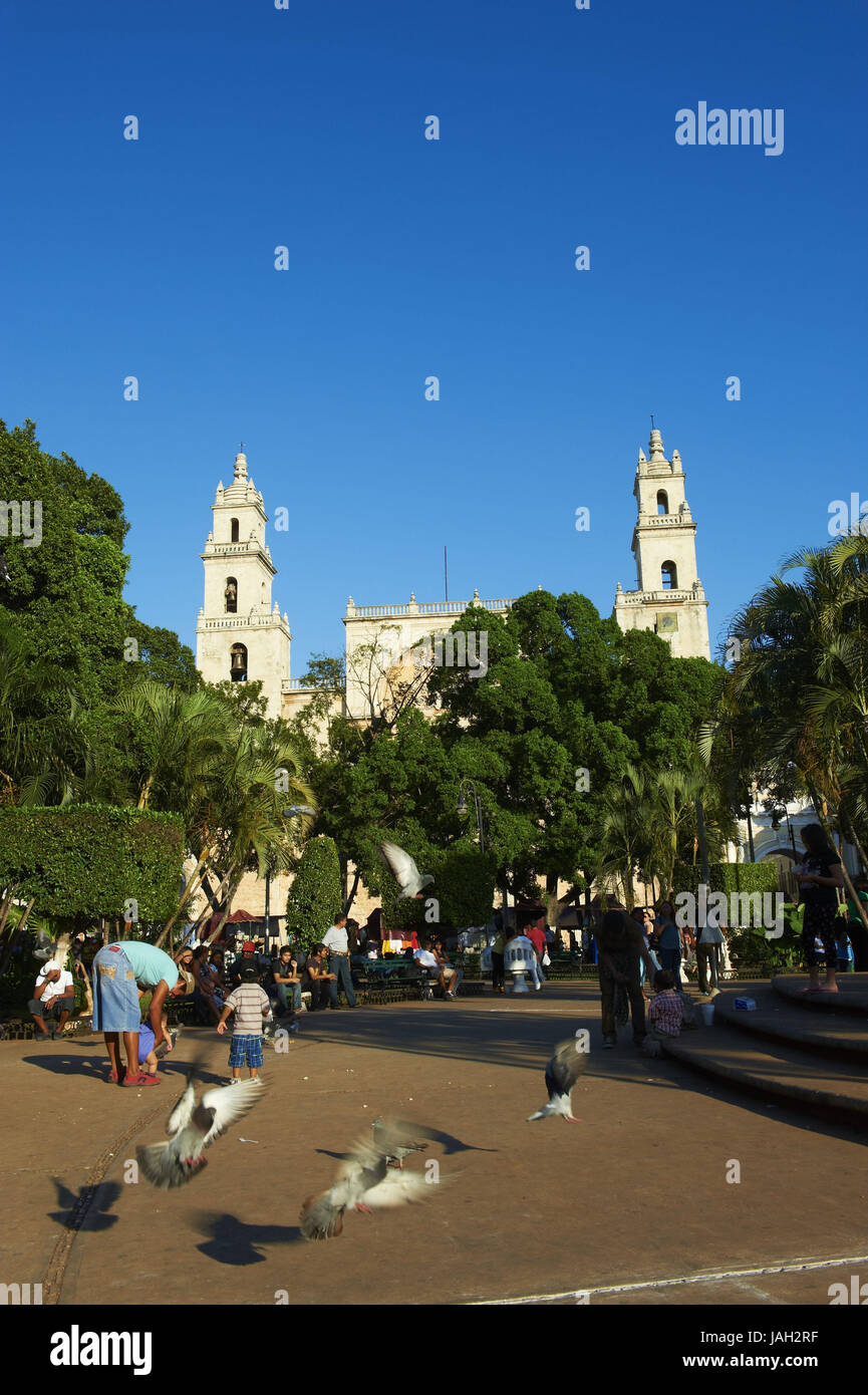 Mexico,Yucatan,Merida,capital,cathedral,space of the independence Stock ...