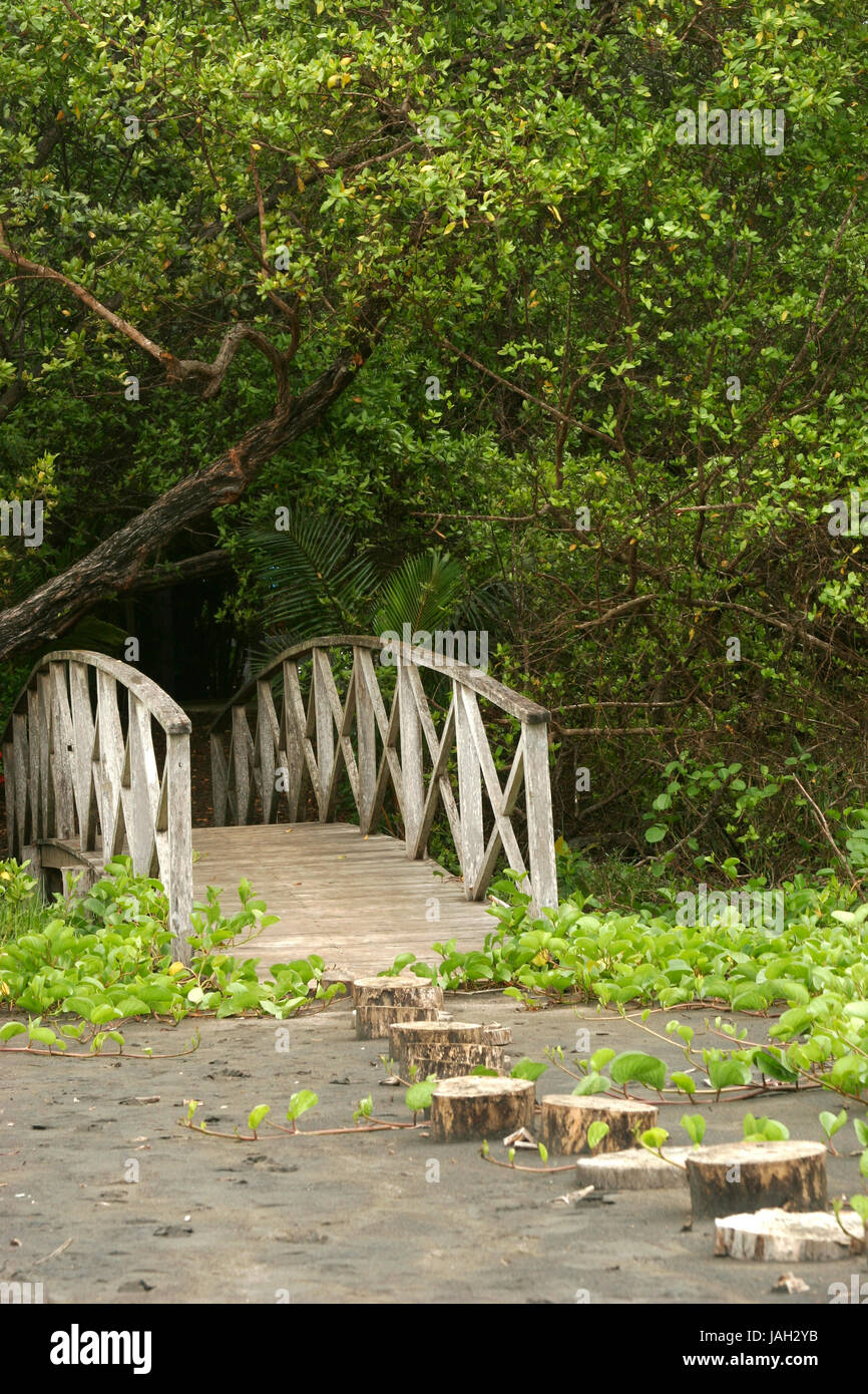 White wooden footbridge leading you to the woods Stock Photo - Alamy