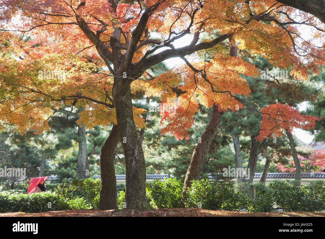 Japan kennin ji temple hi-res stock photography and images - Alamy