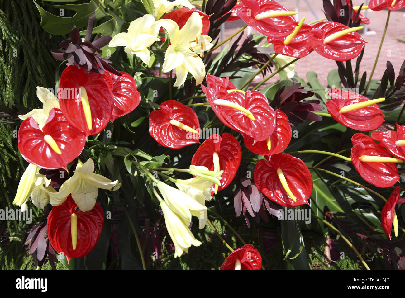 Portugal,Madeira,Funchal,flower feast 'Festa there of Flor',pageant ...