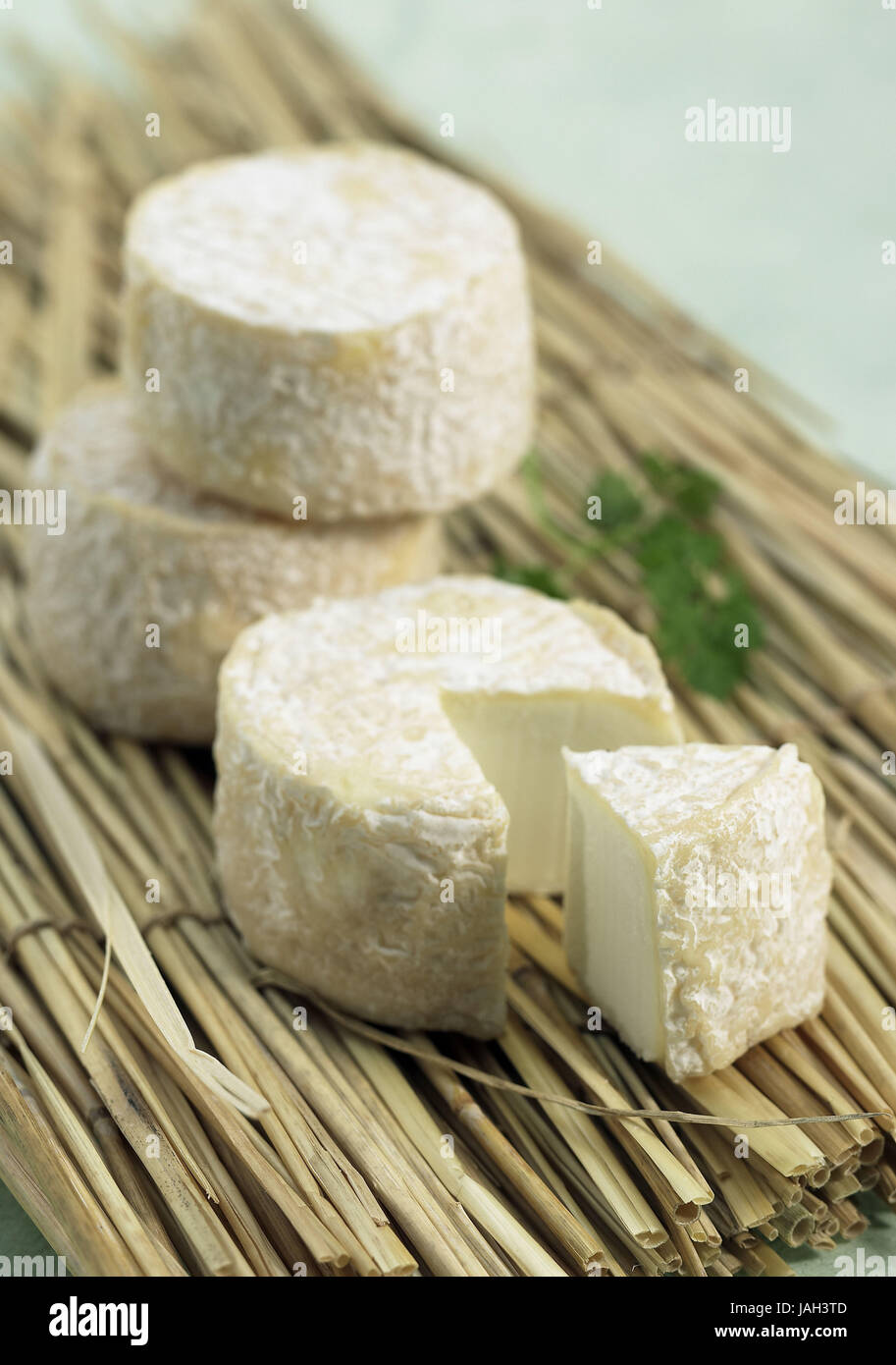 French cheese,Crottin de Chevre,goat's cheese Stock Photo - Alamy