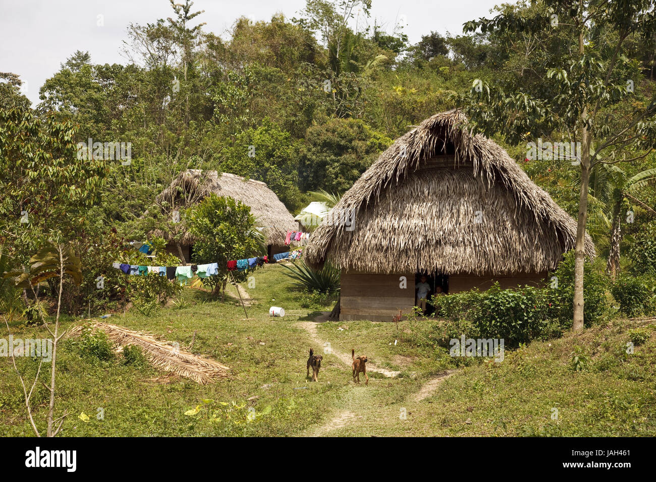 Jose maya hi-res stock photography and images - Alamy