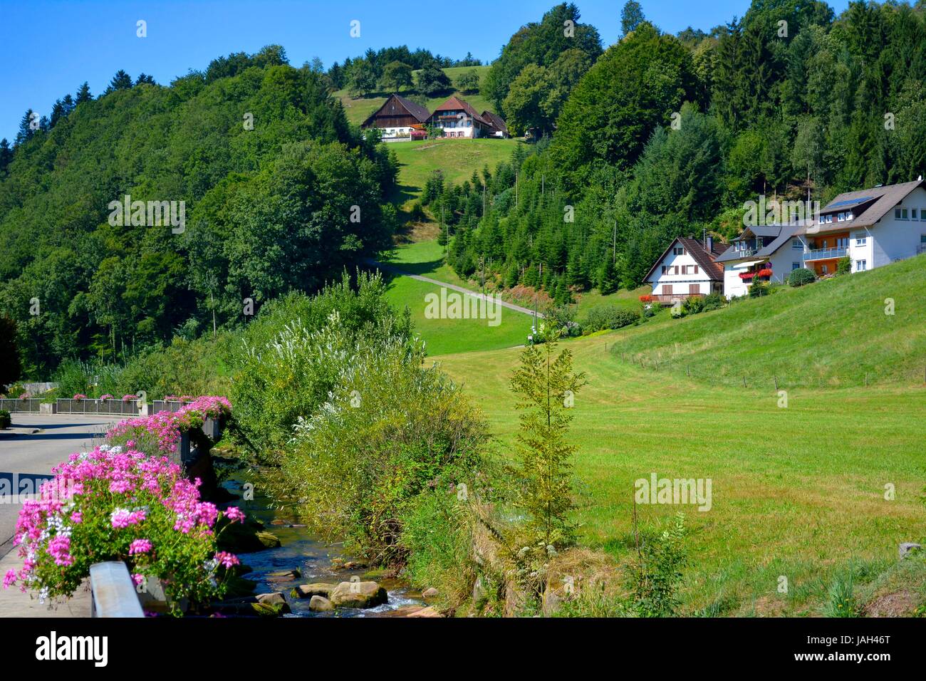 Schwarzwald, bei Oberharmersbach, Bauernhof am Hang Stock Photo - Alamy