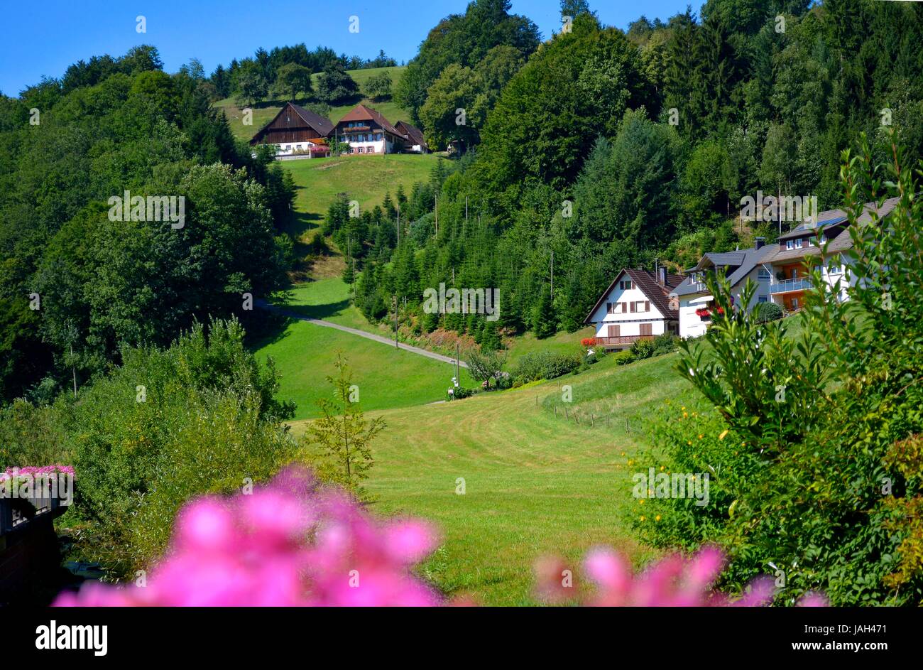 Schwarzwald, bei Oberharmersbach, Bauernhof am Hang Stock Photo - Alamy