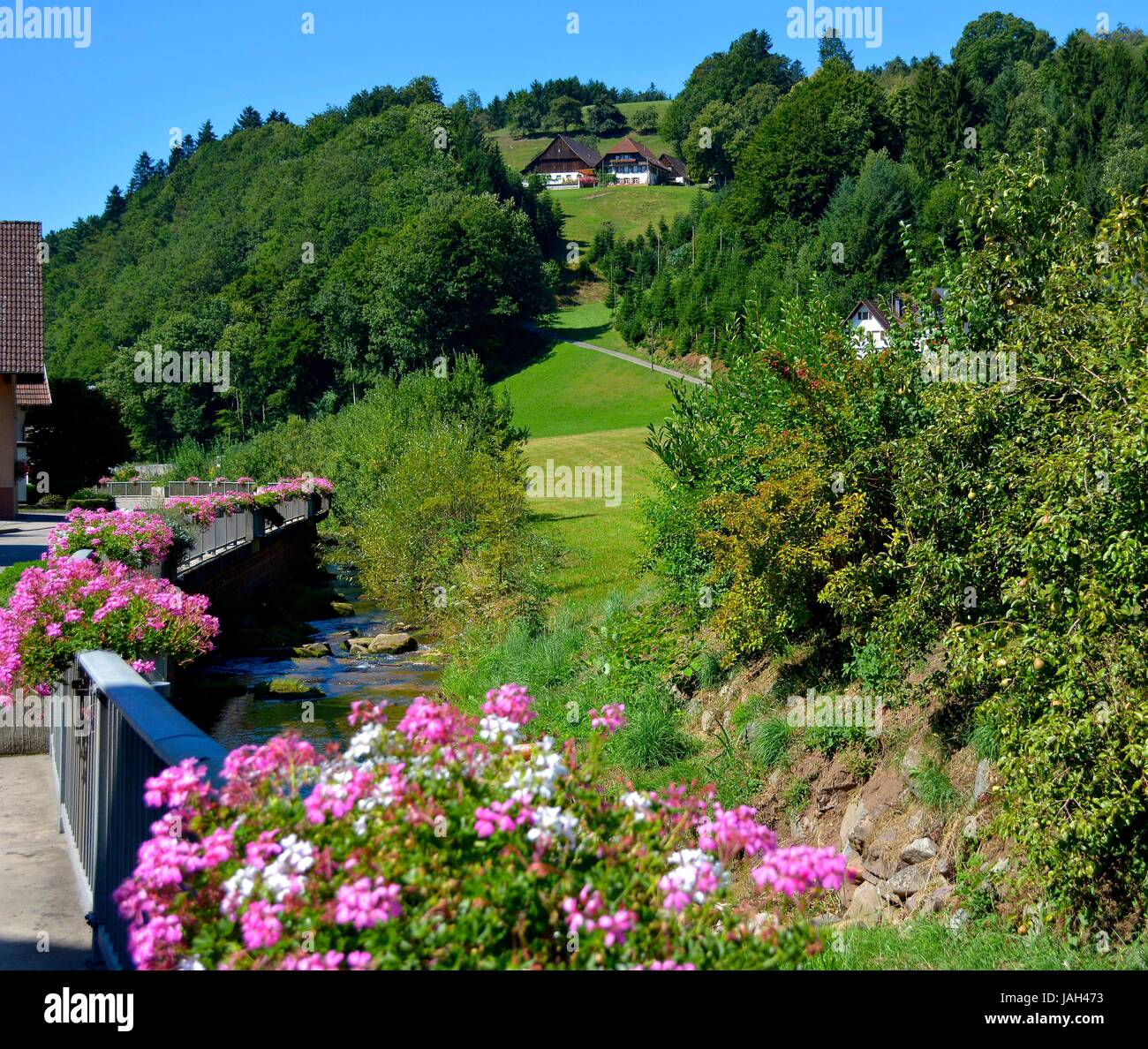 Schwarzwald, bei Oberharmersbach, Bauernhof am Hang Stock Photo - Alamy