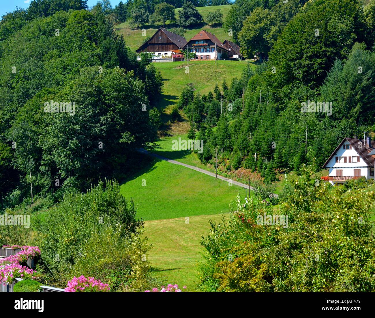 Schwarzwald, bei Oberharmersbach, Bauernhof am Hang Stock Photo - Alamy