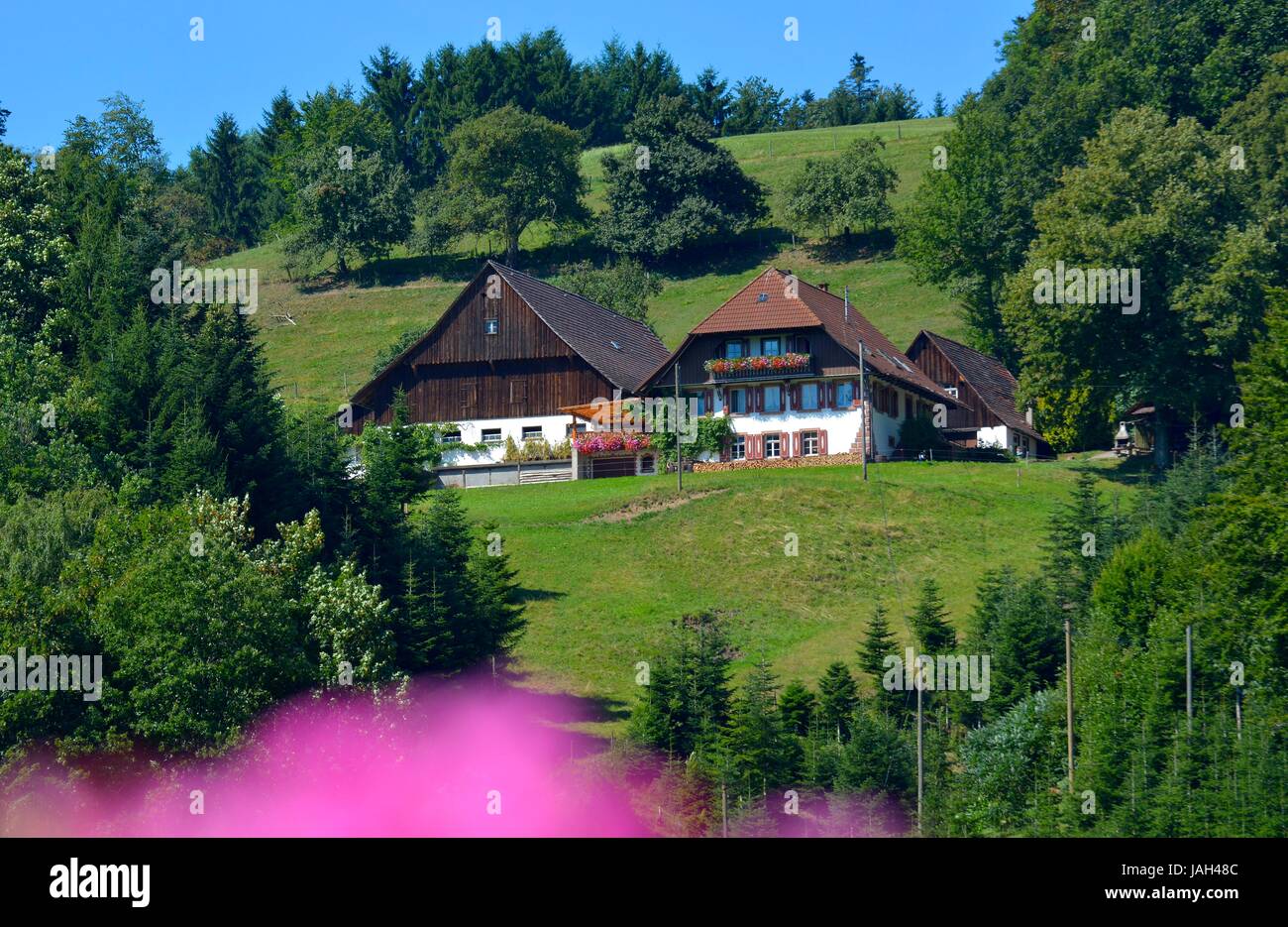 Schwarzwald, bei Oberharmersbach, Bauernhof am Hang Stock Photo - Alamy