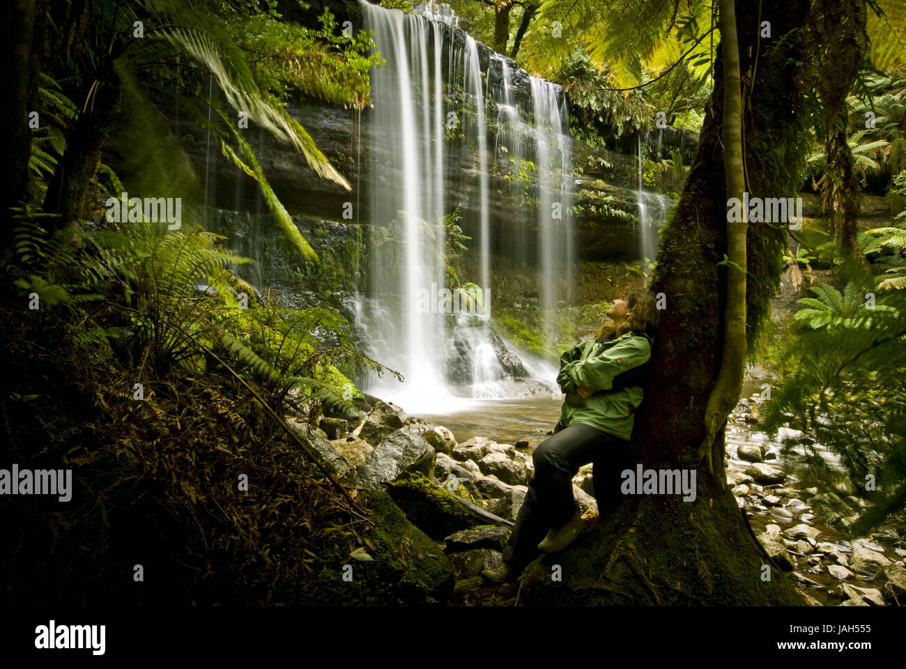 Australia,Tasmania,primeval forest,waterfall,water,Russell Falls,Mount ...