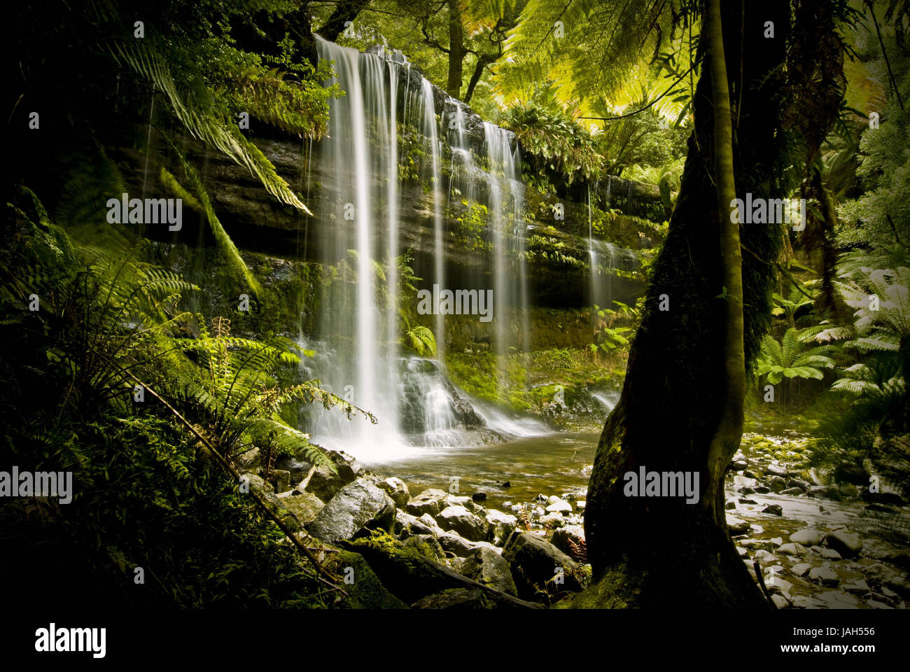 Australia,Tasmania,primeval forest,waterfall,water,Russell Falls,Mount ...