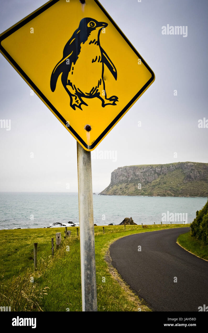 Australia,Tasmania,Stanley,danger sign,penguin,nesting place Stock ...