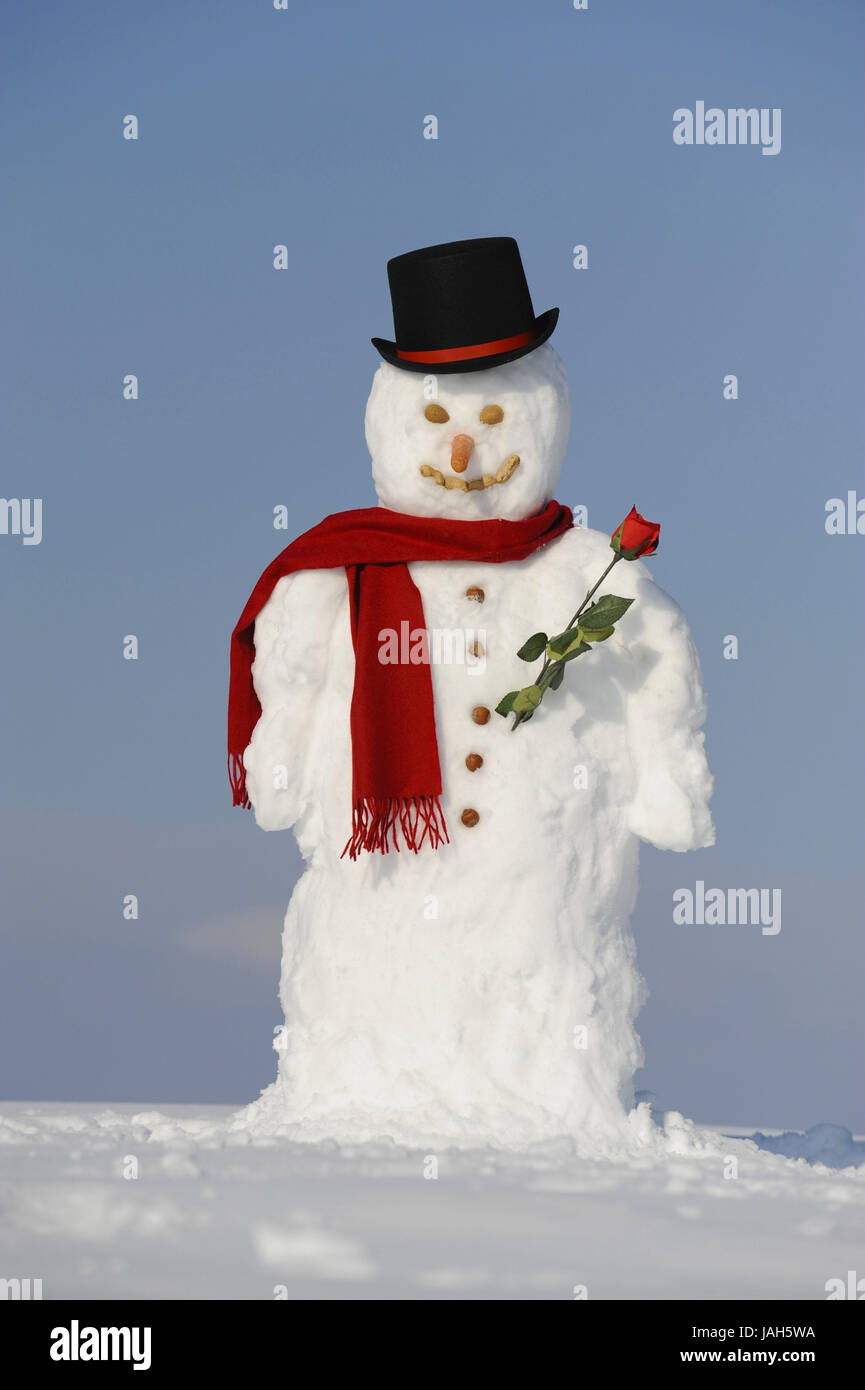 Snowman flower hi-res stock photography and images - Alamy