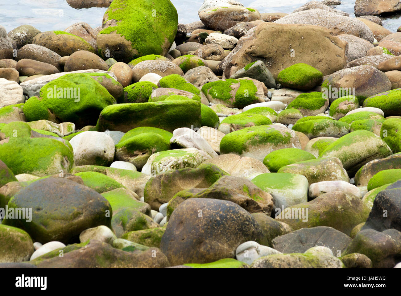 Slippery rocks hi-res stock photography and images - Alamy