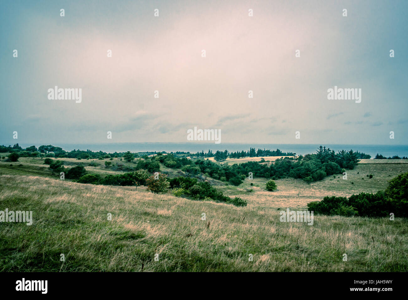 Green fields with cloudy weather and the ocean Stock Photo - Alamy