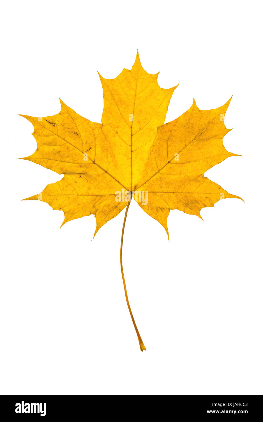 Beautiful landscape in colors Cut Out Stock Images & Pictures - Alamy