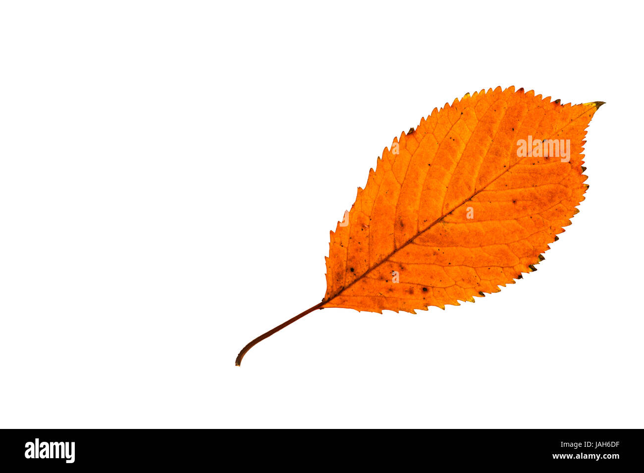 Beautiful landscape in colors Cut Out Stock Images & Pictures - Alamy